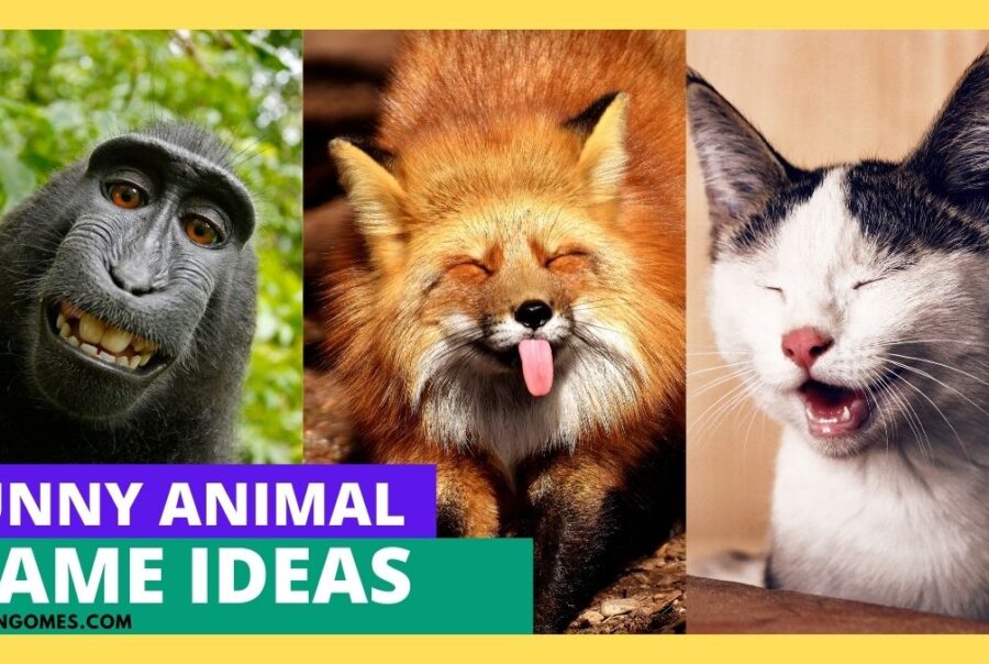 Fantasy Name Ideas: 1000+ Fantasy Names To Search & Grab - Namez